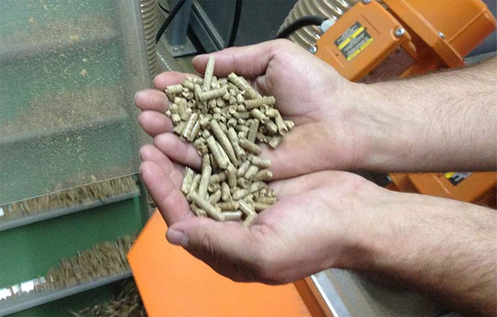 Kompanija u Derventi pokreće proizvodnju peleta - Biznis Info