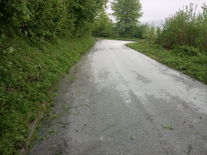 Uređuje se Park-šuma Hum, planirani brojni sadržaji - Biznis Info