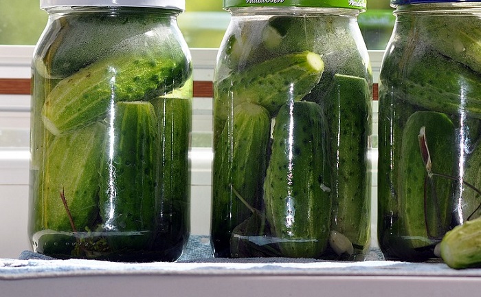 Počelo potpisivanje ugovora za proizvodnju kornišona - Biznis Info