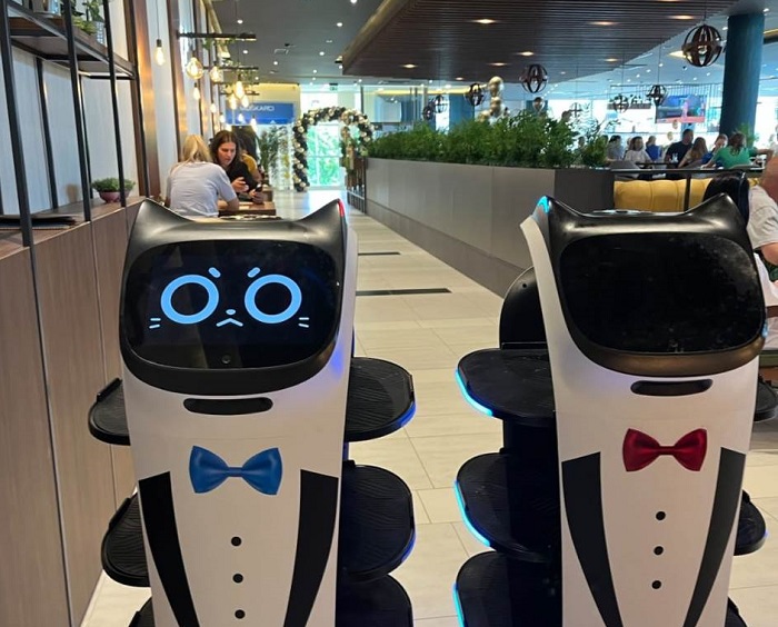 Atrakcija: Prvi roboti konobari u BiH poslužuju goste - Biznis Info